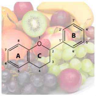 Flavonoidi: perché sono importanti? dove si trovano negli alimenti